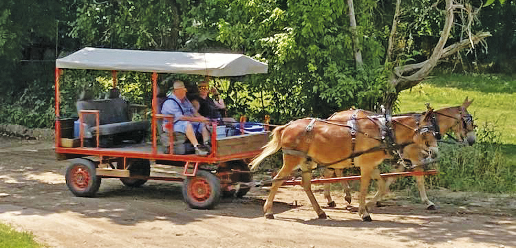 Wagon Train Travels Through County - Carroll County News