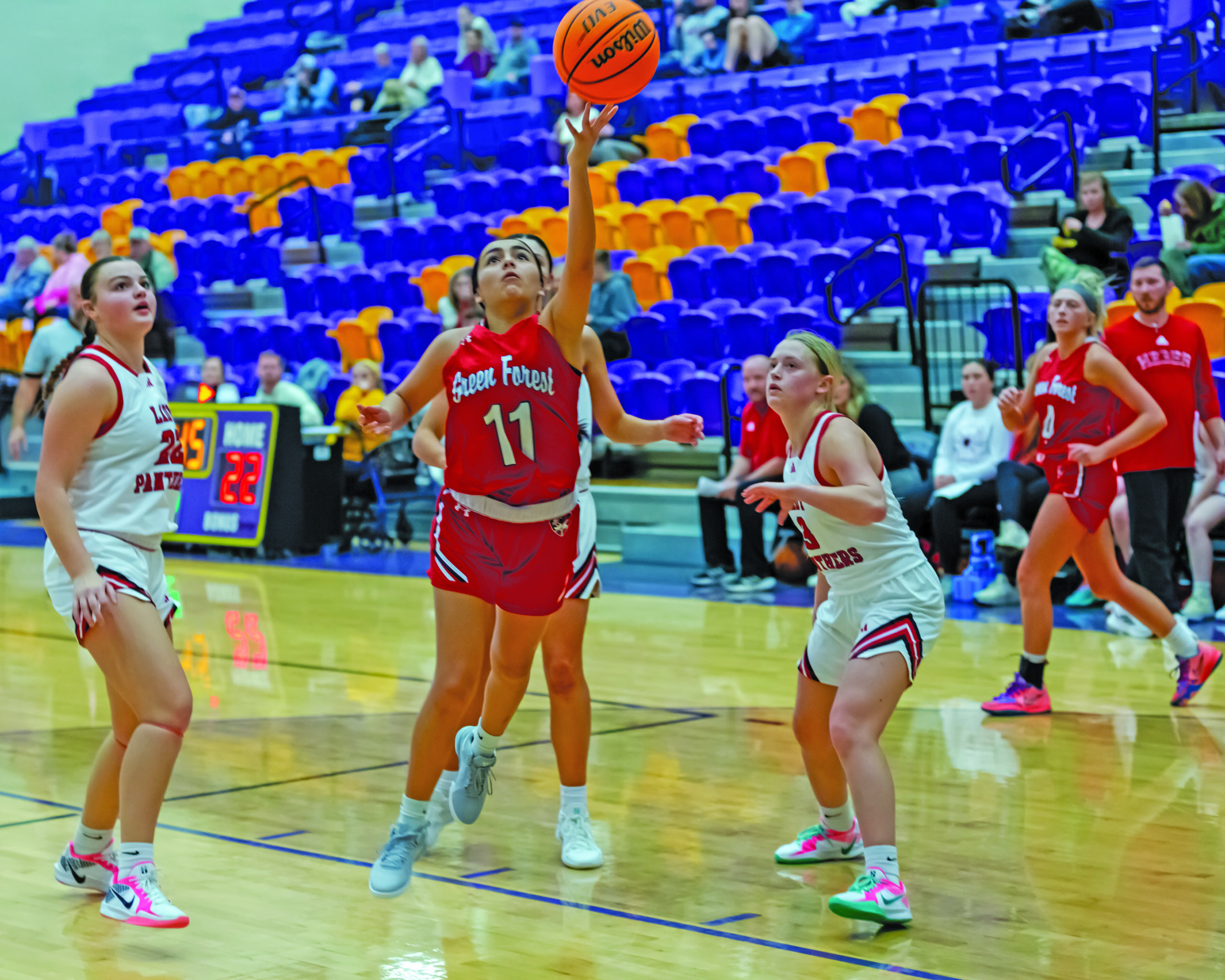 Lady Tigers drop 7th-place game to Viola - Carroll County News